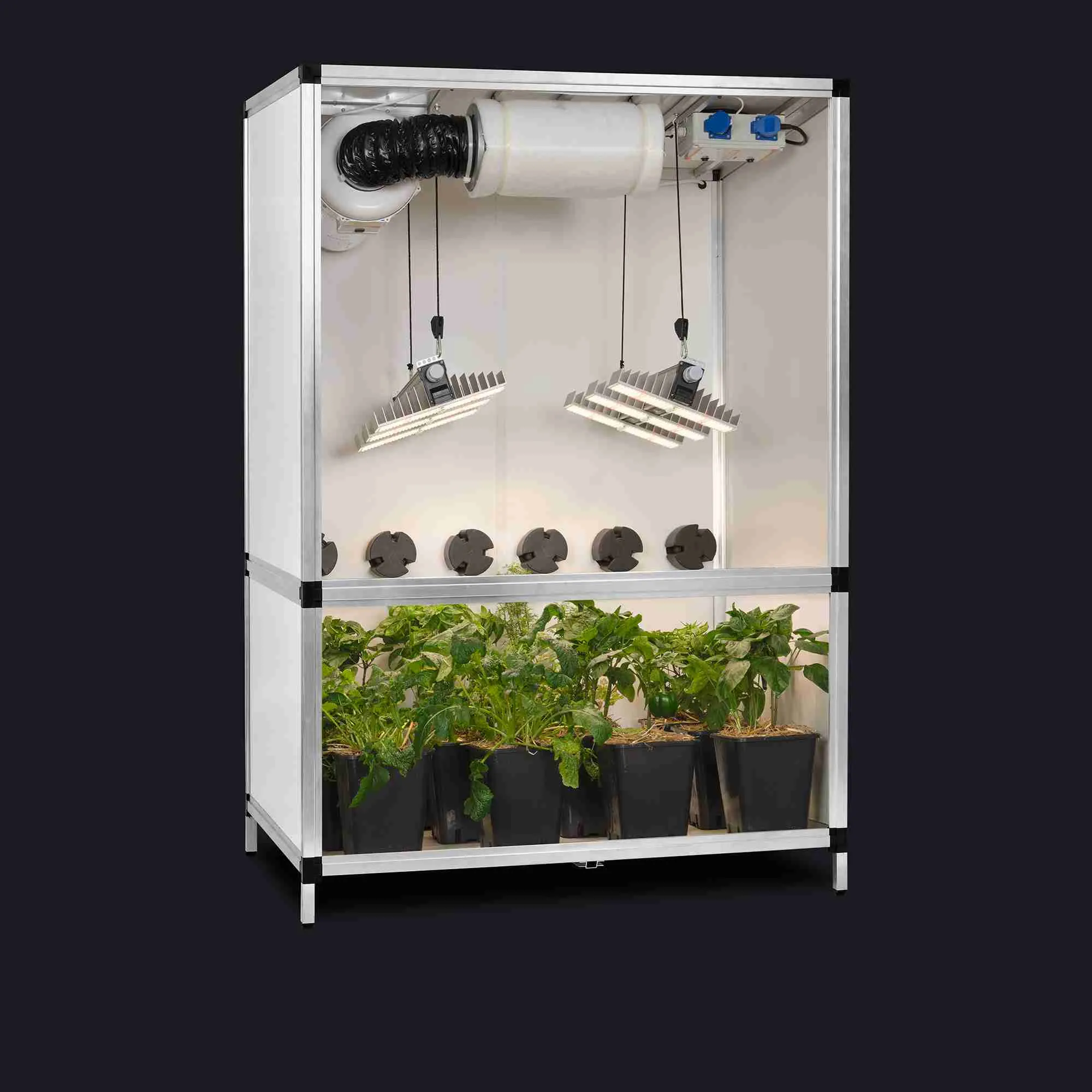 Complete kweekkast gezocht? Bonanza en Wing kweekkasten!