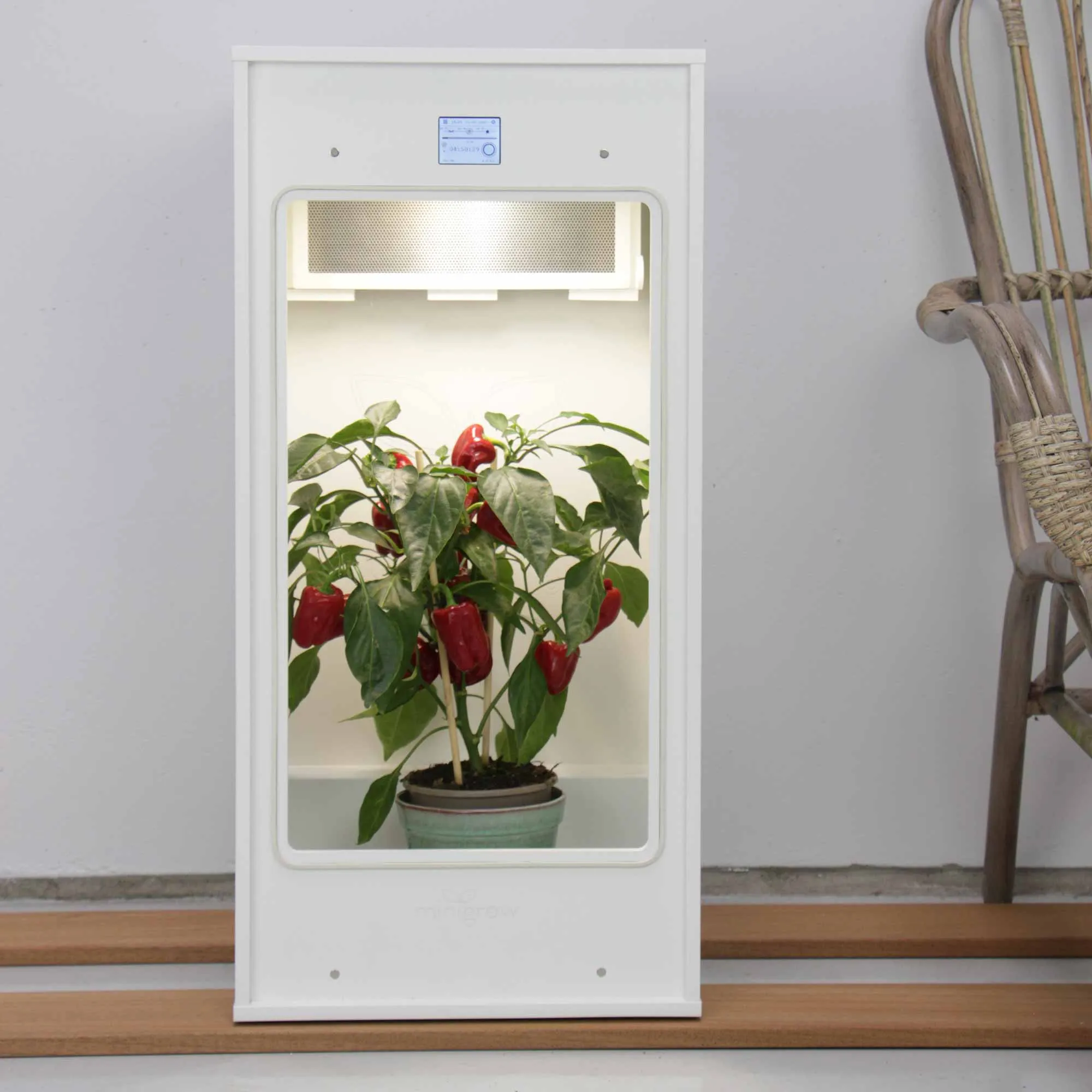 Ontdek de Minigrow Box Kweekkast - De binnentuin van de toekomst