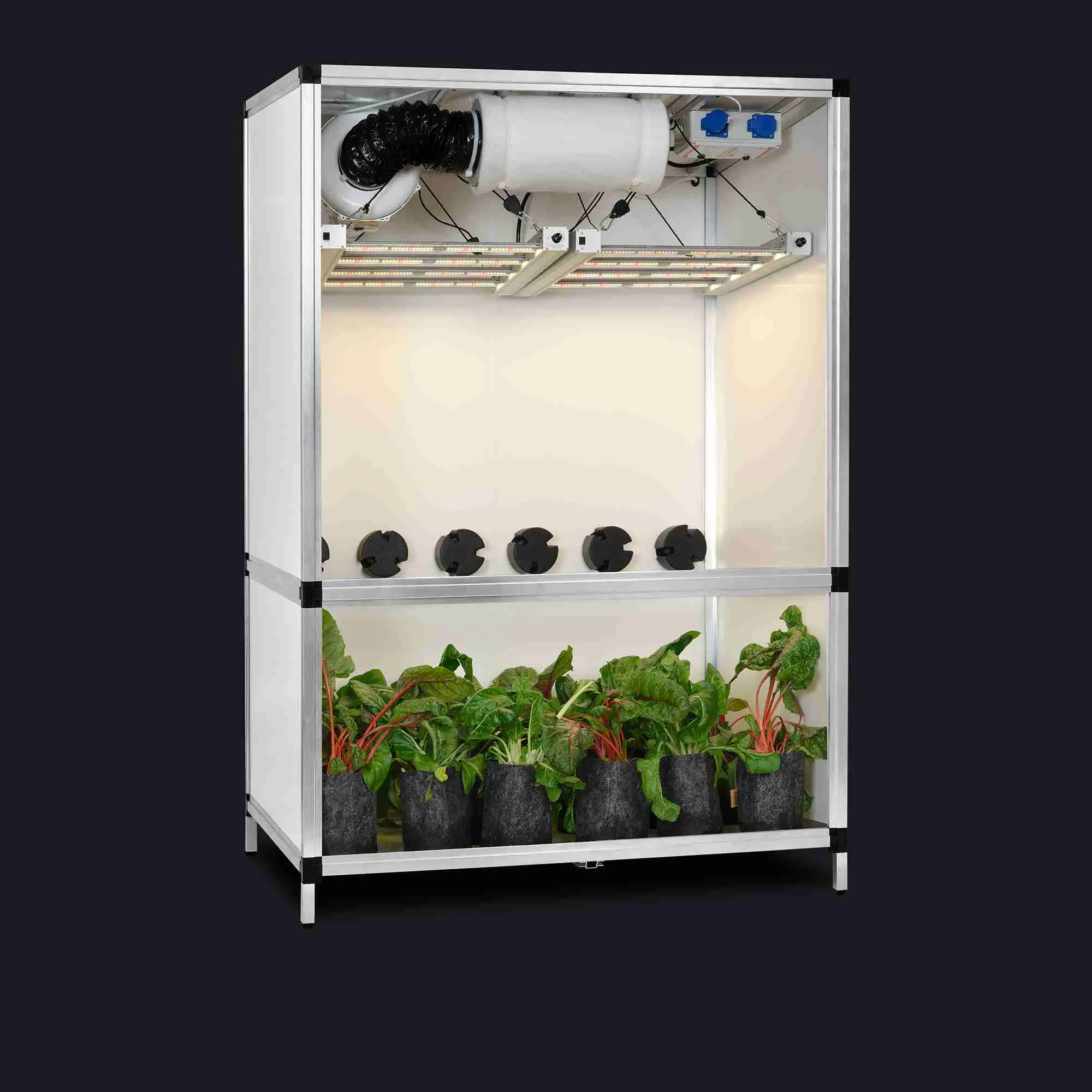 G-Bar 2x 170W 1m2 : Complete kweekkast, speciaal voor indoor groei.