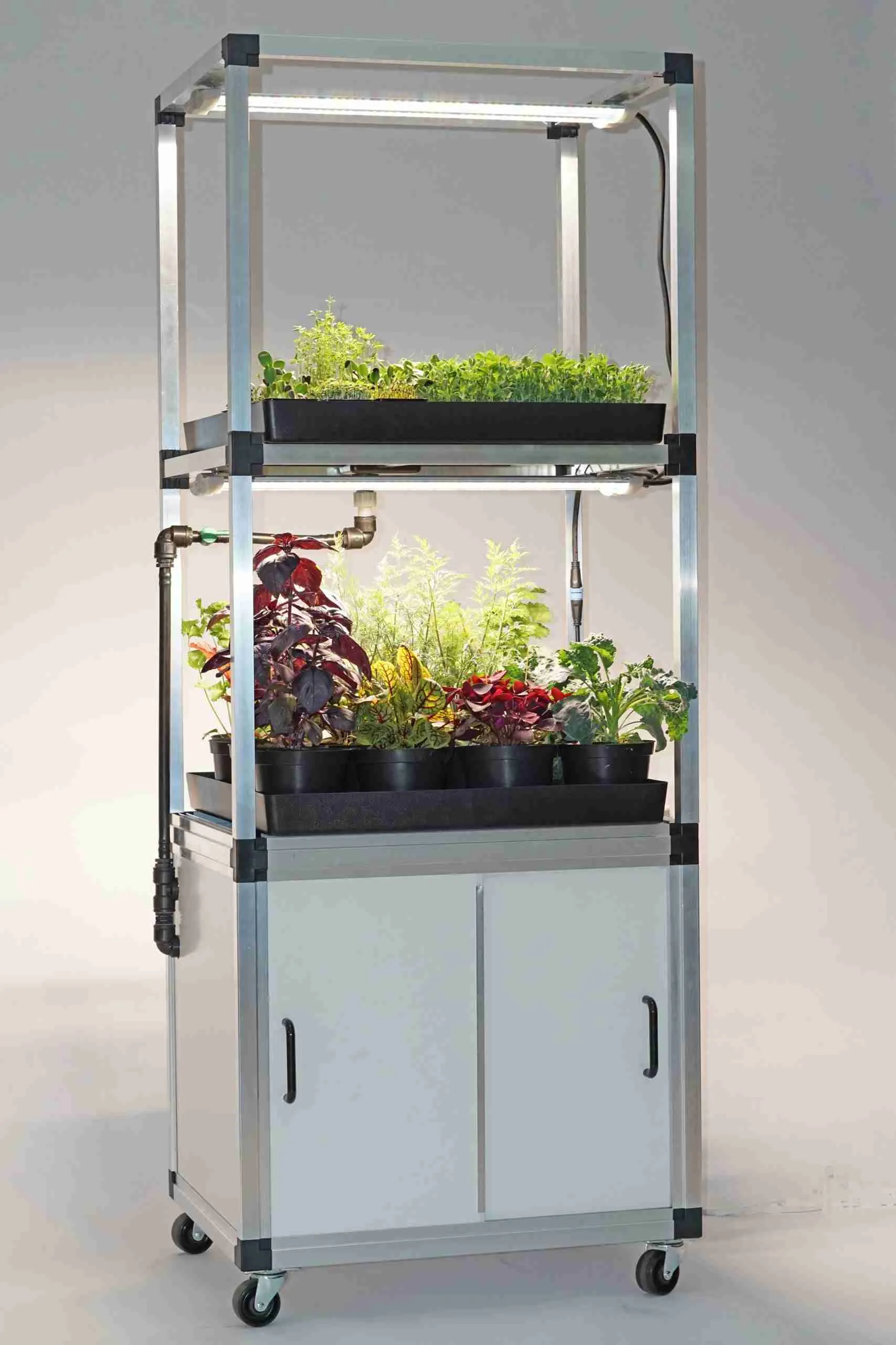 Kweek en oogst dagelijks je eigen ingrediënten in onze kweekkasten!